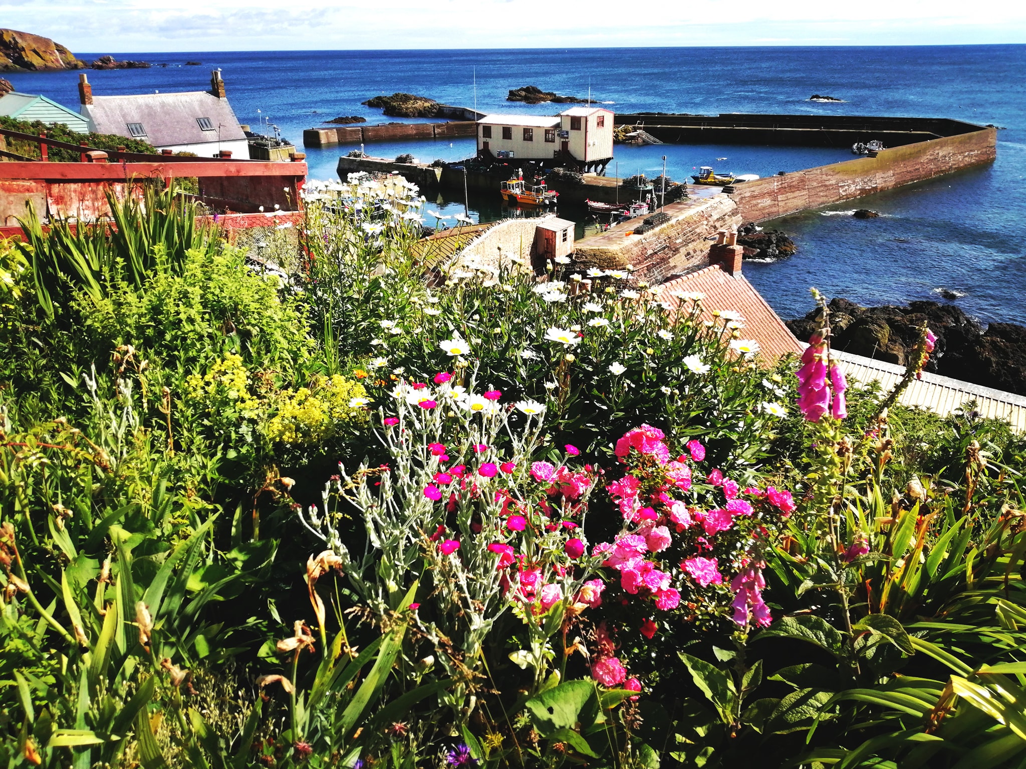 Lets go thelma.. – lizatthebeachhut.com